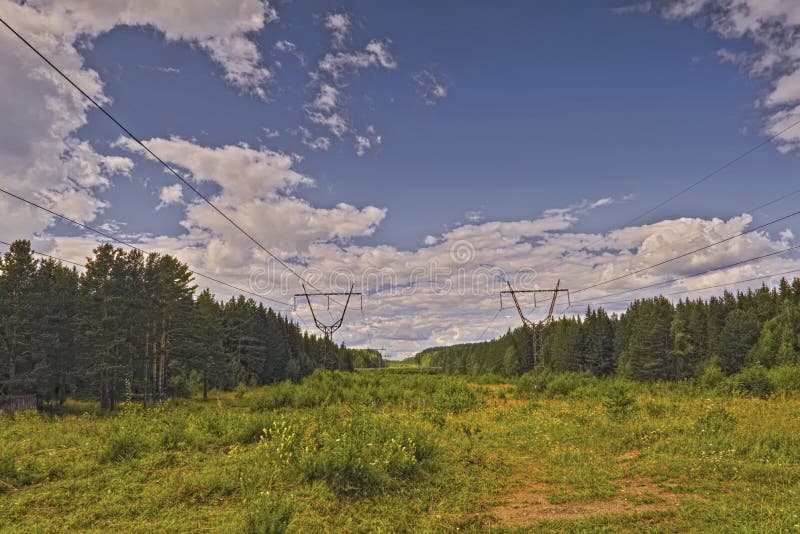 Power Transmission Line through the Forest Stock Photo - Image of ...