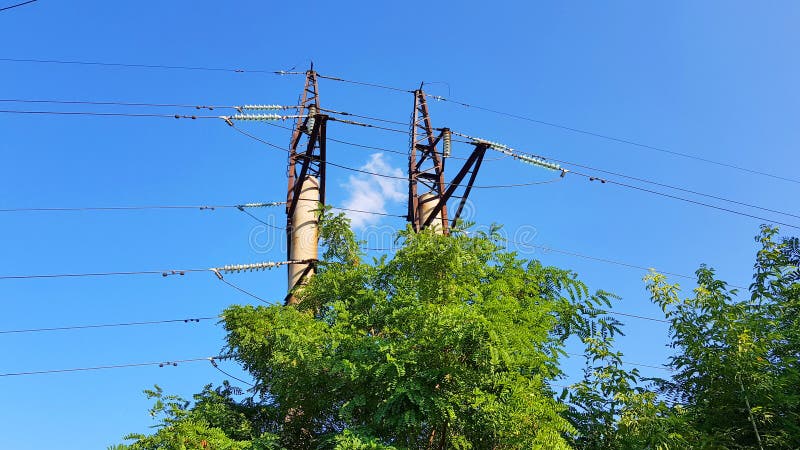 Power Line and Pole among Beautiful Green Trees Stock Photo - Image of ...