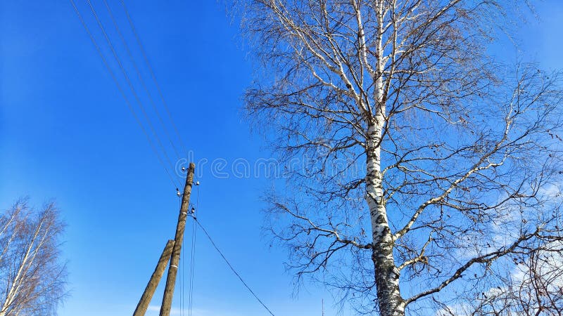 Power Line Pole on a Blue Sky Background Stock Image - Image of light ...