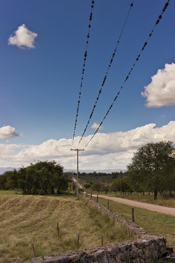 Power line tower stock photo. Image of energy, ecoregion - 52422408