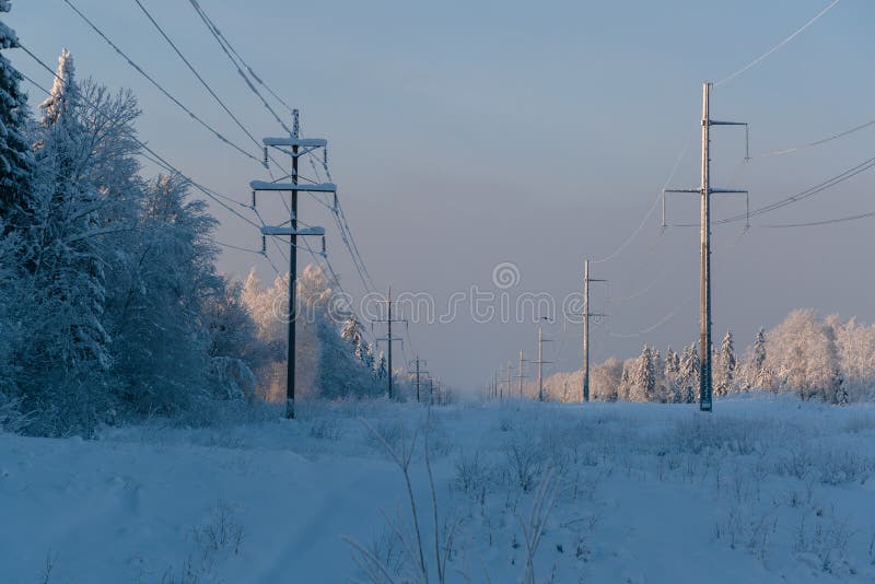 Power line poles in winter stock photo. Image of forest - 220951186
