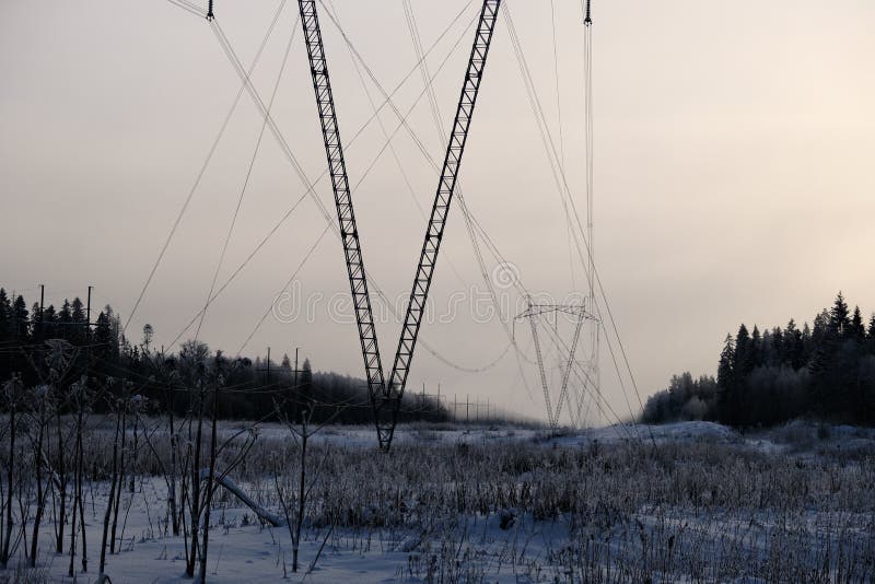 Power line poles in winter stock photo. Image of electrical - 220951234
