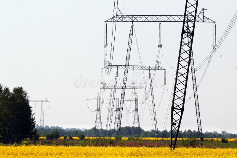 Power Line Pylons in Yellow Fields Stock Photo - Image of power, pylon ...