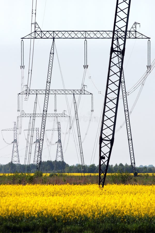 Power Line Pylons in Yellow Fields Stock Image - Image of ecology ...