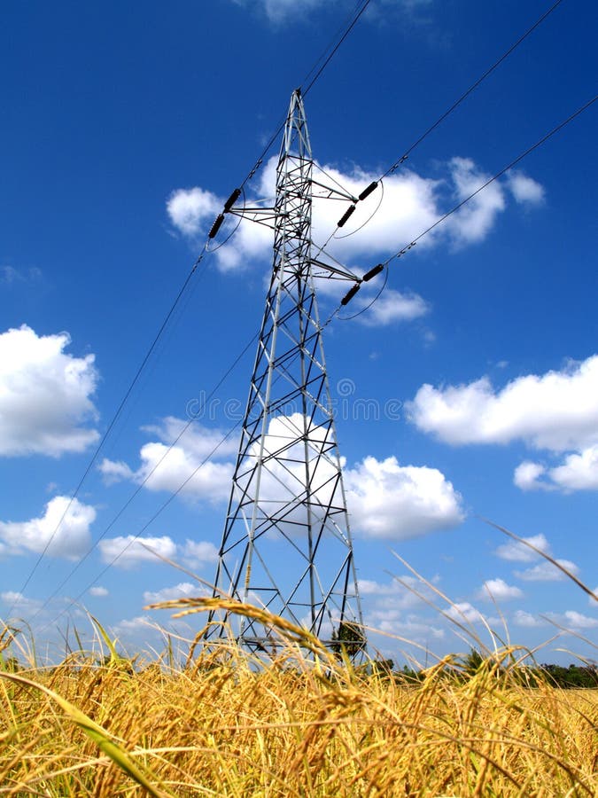 Power line and rice field stock photo. Image of modern - 1614882