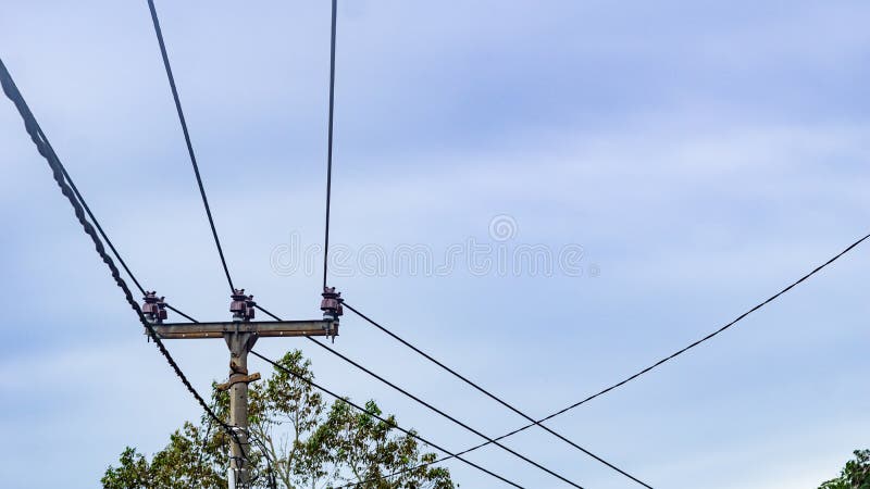 Power Line and Tree Against a Dynamic Sky Background Stock Photo ...