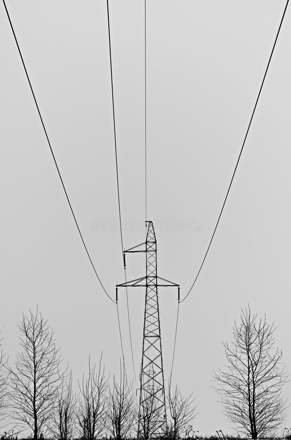 A Power Line with Trees on the Ground Stock Image - Image of frozen ...