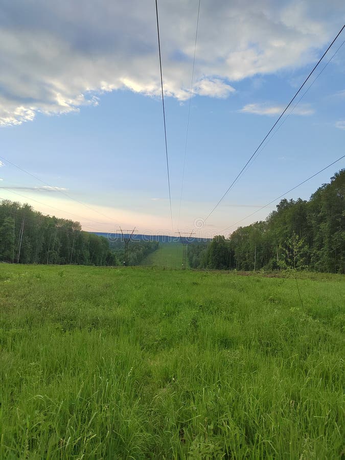Power Line between Two Forests Goes into the Distance Stock Photo ...
