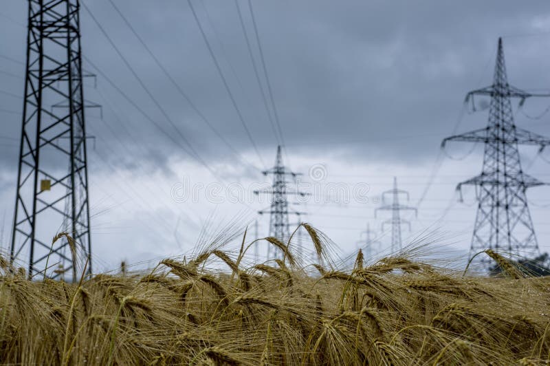 Power line stock photo. Image of farm, engineering, metal - 98443784