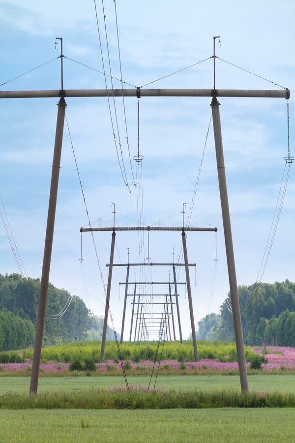 Power Line on a Wide Clearing Stock Photo - Image of generation ...