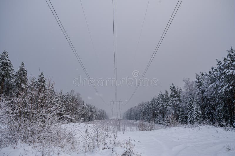 Power line in winter day stock image. Image of supply - 166201579