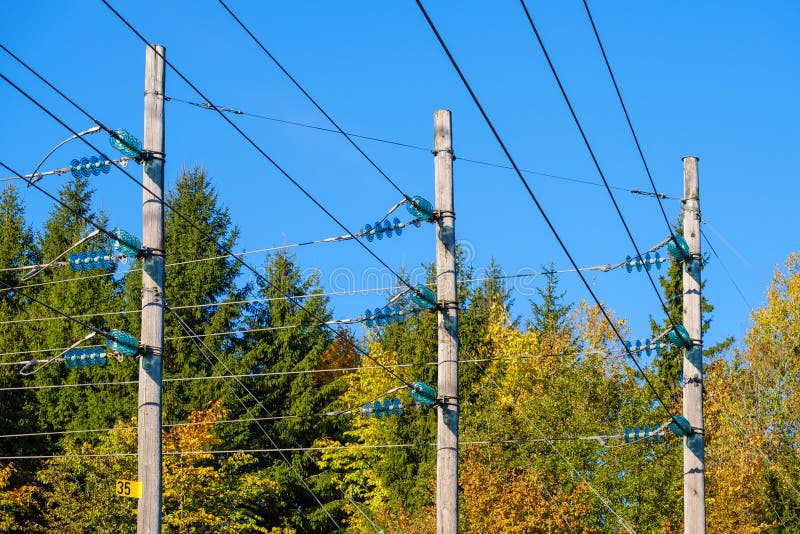 Power Line Wood Poles in an Autumn Forest Stock Image - Image of clear ...