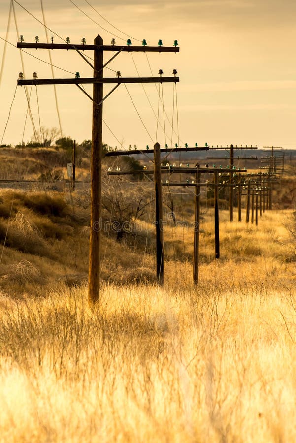 Power Line on Wood Poles Running through Golden Fields Stock Image ...