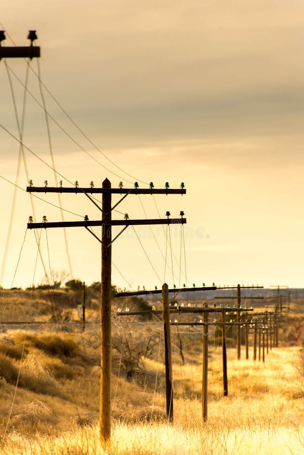 Power Line on Wood Poles Running through Golden Fields Stock Image ...