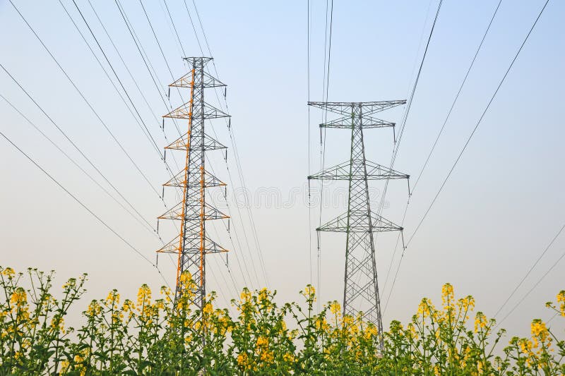 Electric power line stock photo. Image of meadow, nature - 3767616