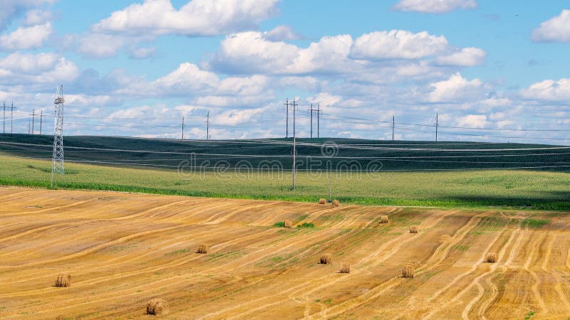 Power Lines Agricultural Fields Panorama Stock Photo - Image of line ...