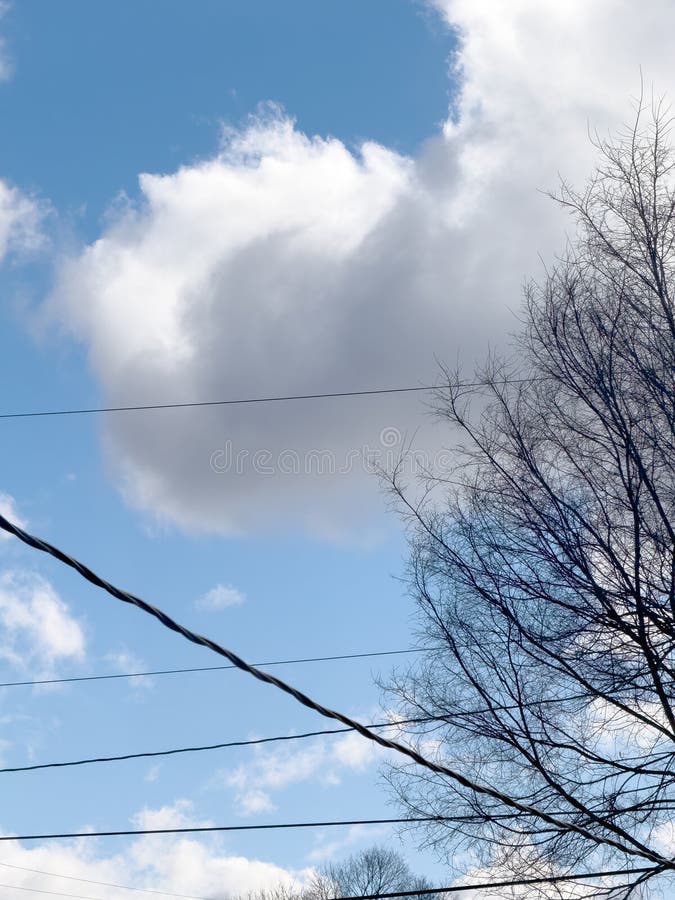 Power Lines and Blue Sky with Trees Stock Image - Image of power, snow ...