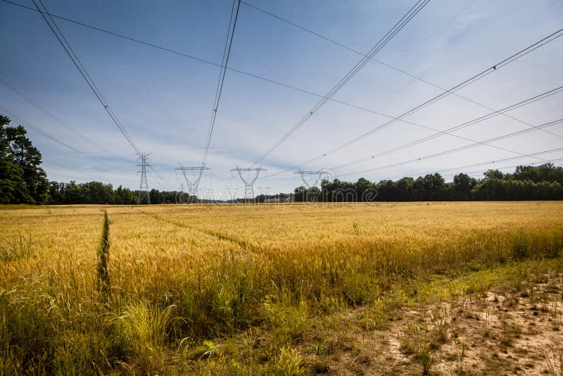 Power Lines & Field stock photo. Image of open, color - 25248536