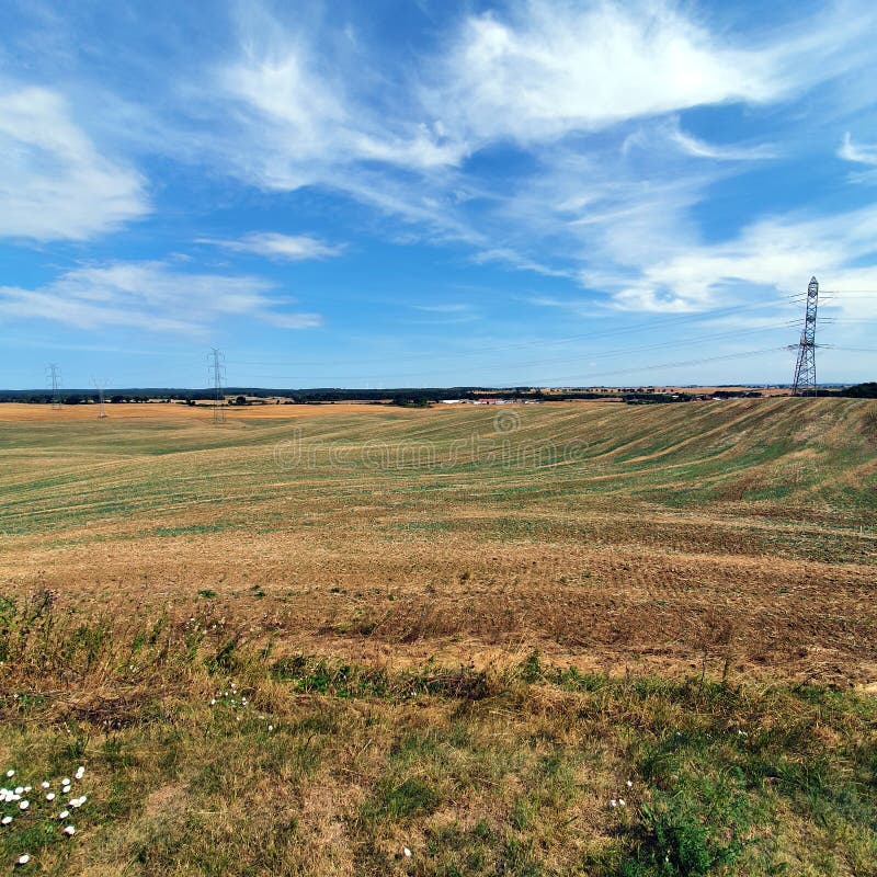 Power lines in the field stock photo. Image of landscape - 197161386