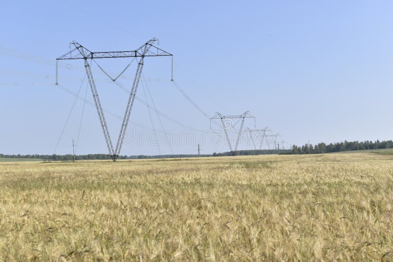 Power Lines in the Field in the Summer on the Road Stock Image - Image ...