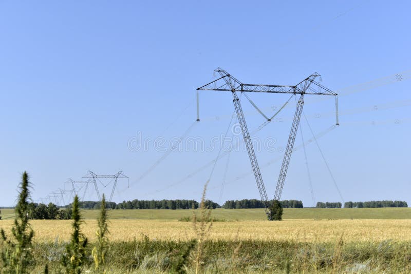 Power Lines in the Field in the Summer on the Road Stock Image - Image ...