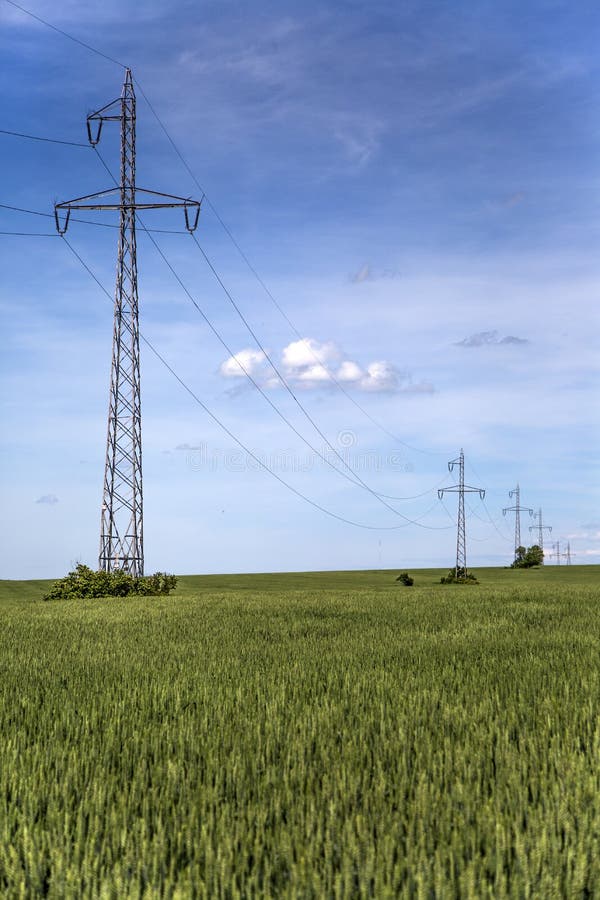 Power lines in the field stock image. Image of high, green - 41278015