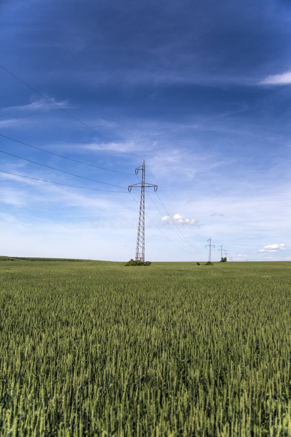 Power lines in the field stock photo. Image of lines - 41371714