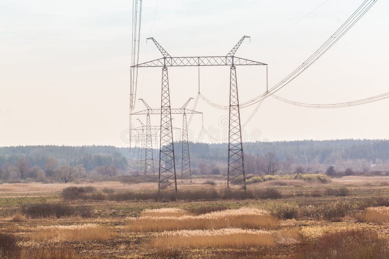 Power Lines on a Floodplain in a River Valley Stock Photo - Image of ...