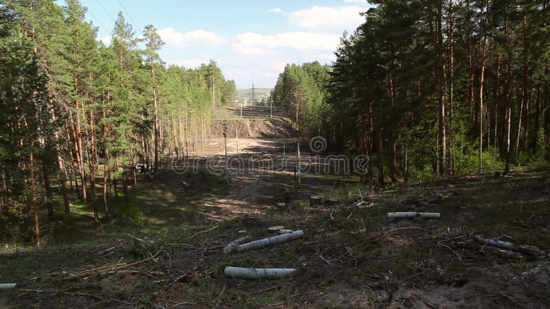 Deforestation for Laying a High-voltage Line Stock Video - Video of ...