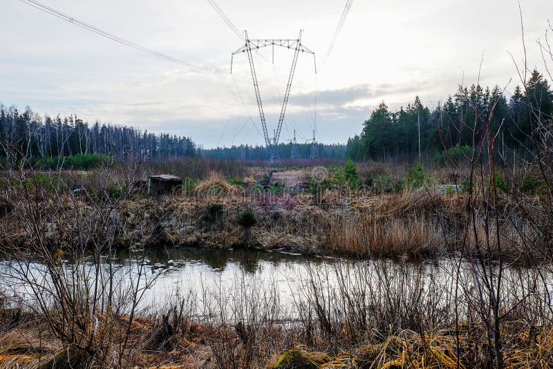 Power lines in the forest stock photo. Image of field - 83420676