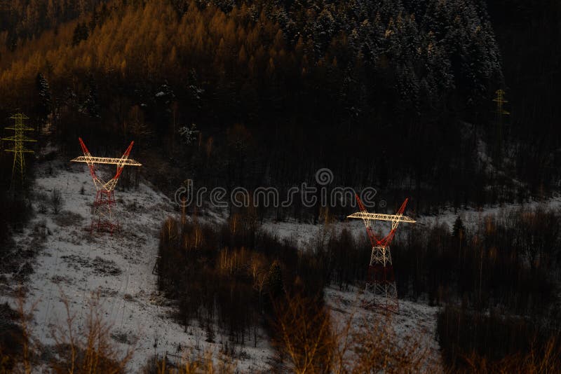 Power Lines in Forest in Sunset Light Stock Photo - Image of wire ...