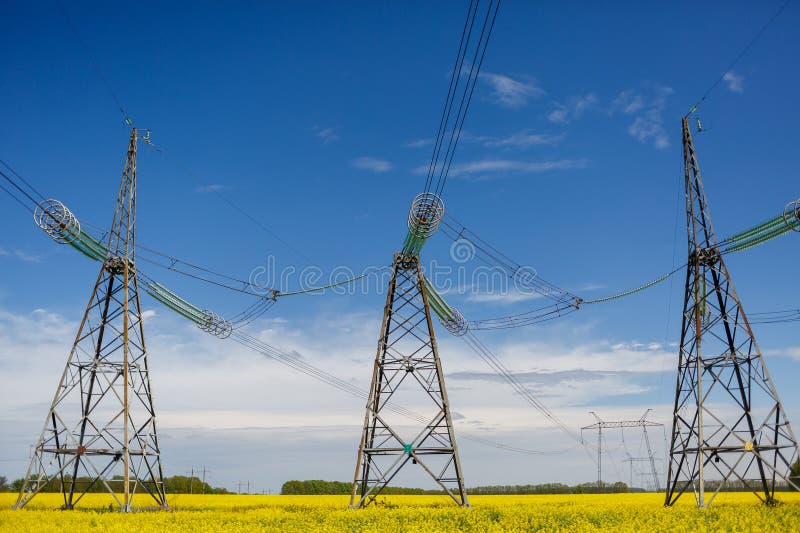 Power Lines and High-voltage Lines Against the Backdrop of Blooming ...
