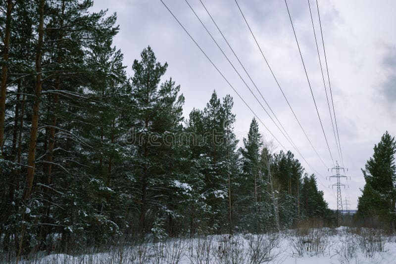 Power Lines in the Middle of Winter Forest Stock Image - Image of snow ...