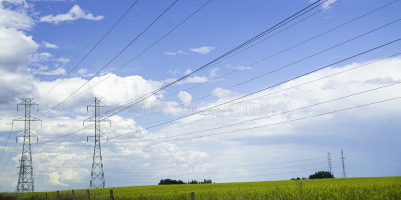 Power Lines Over a Canola Farm in Aberta Canada Stock Photo - Image of ...