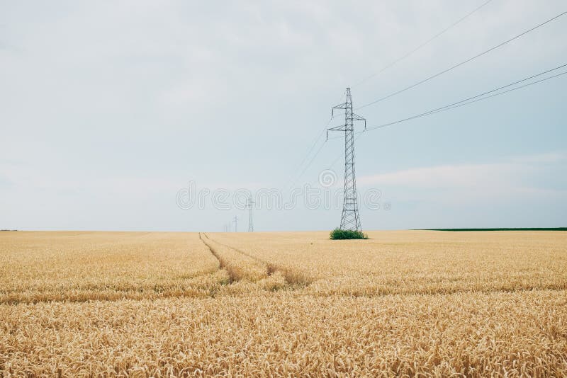 Power Lines and Poles on the Field Stock Image - Image of powerline ...