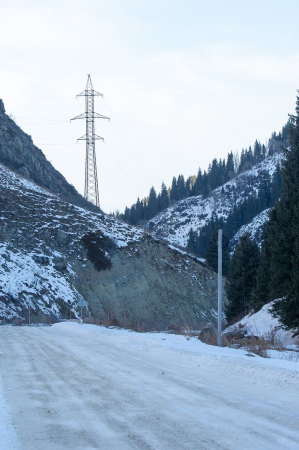Winter Lines stock photo. Image of cold, firtree, tree - 12539832