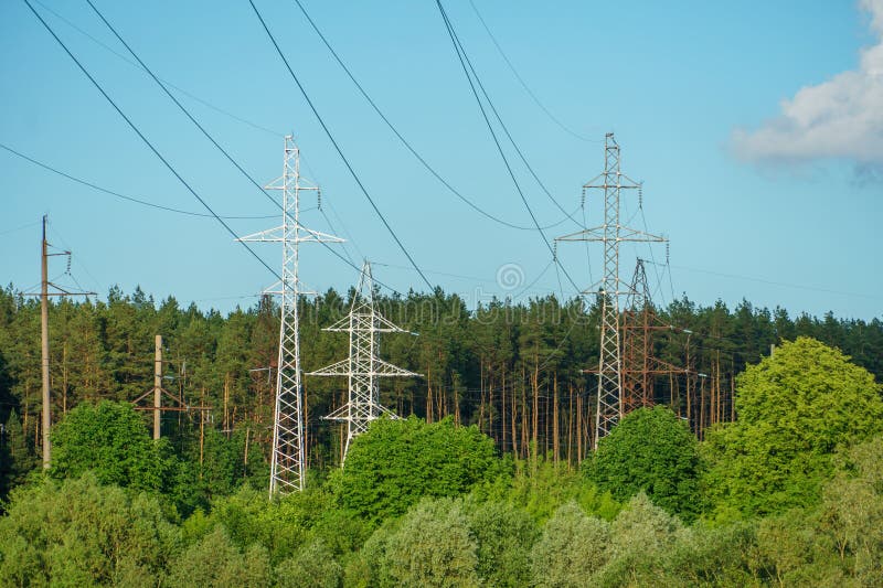 Power Lines Running through the Forest. the Support of an Overhead ...