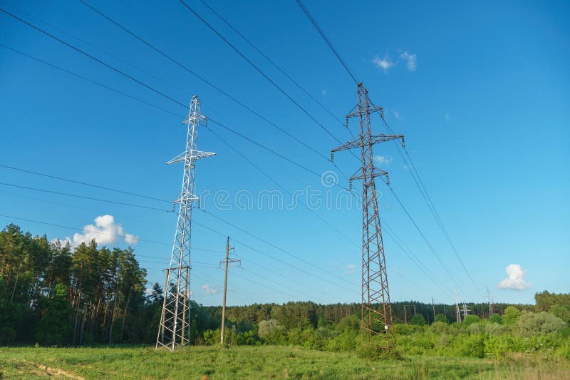 Power Lines Running through the Forest. the Support of an Overhead ...