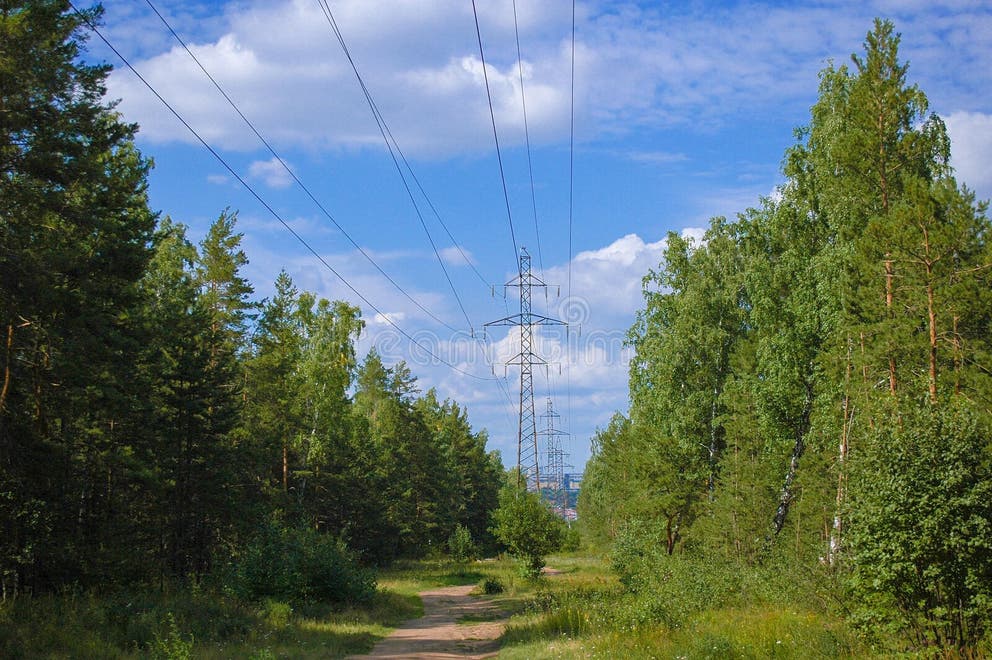 Power Lines Stand in the Middle of a Green Forest Stock Photo - Image ...