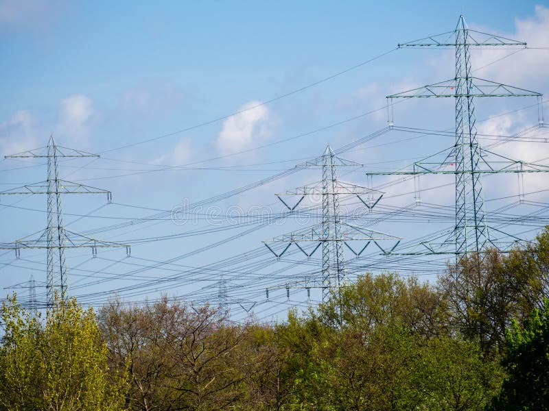 Power Lines and Trees Under Blue Sky Stock Image - Image of poles ...