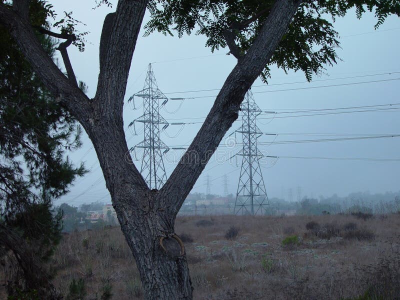 Power Lines through the Trees Stock Image - Image of power, electricity ...