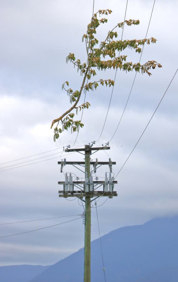 Power Lines and Wind Storm Damage Stock Photo - Image of dangling ...