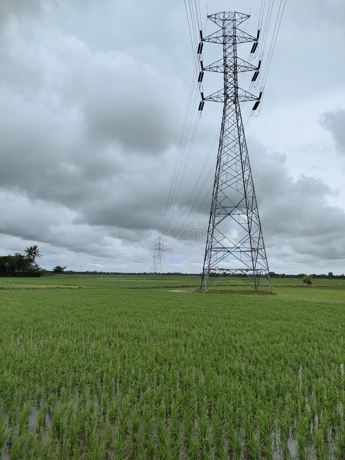 Power Mast for High Voltage Electricity with Cables in Nice Landscape ...