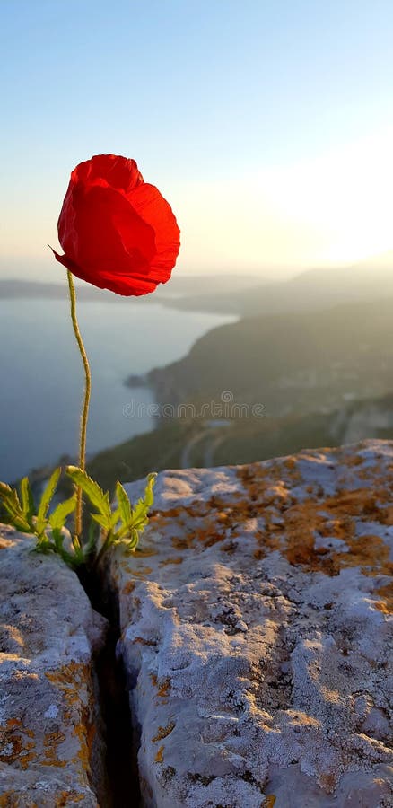 Power of nature stock photo. Image of reykjanes, flowing - 9530720