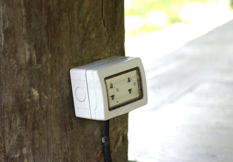 Power Outlet Plug on the Tree Trunk Stock Image - Image of light ...