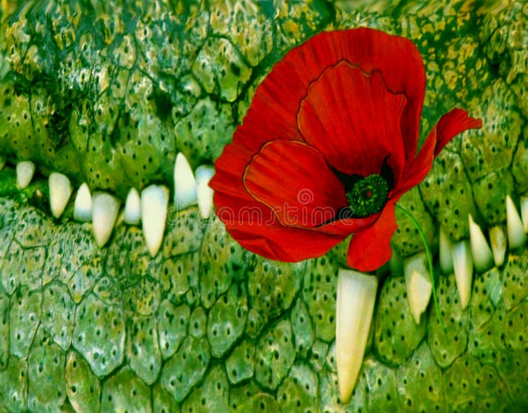 Power of Pain. Unbearable Power of Pain. Stock Photo - Image of sadness ...