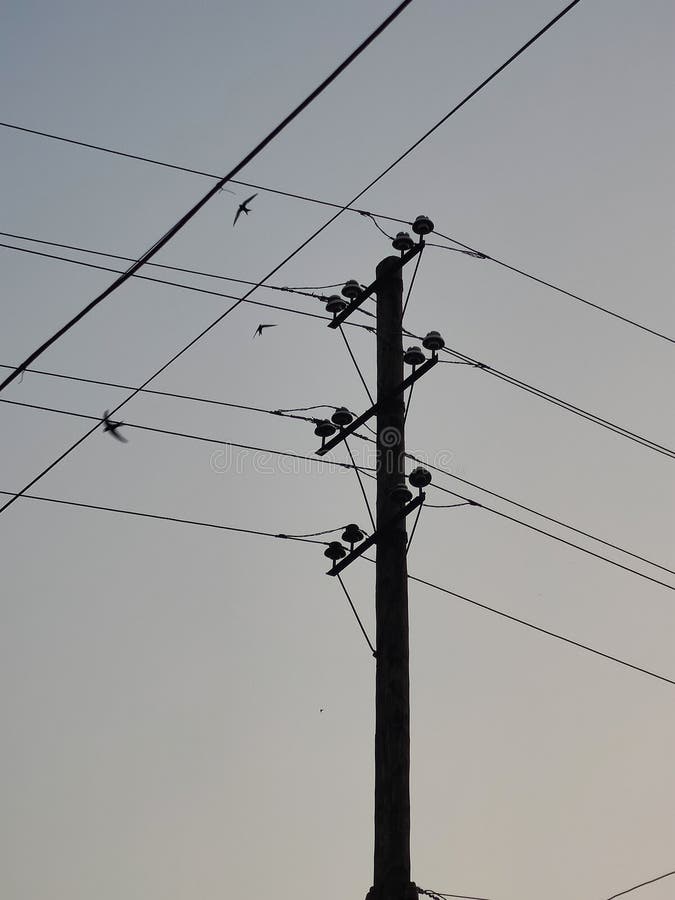 Power pole and birds stock photo. Image of pole, birds - 270748148