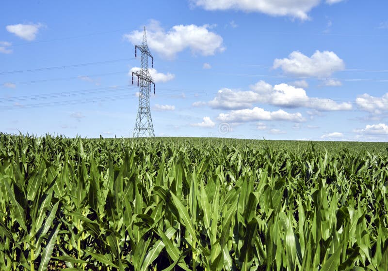 630 Cable Plants Engineering Stock Photos - Free & Royalty-Free Stock ...