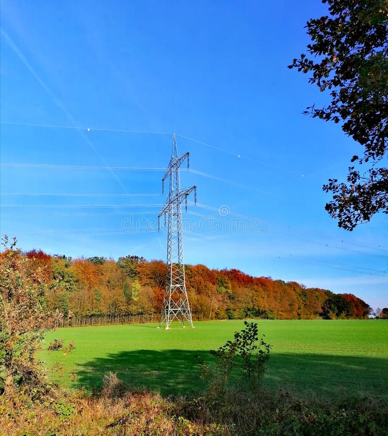 Power Pole on Green Farmland Stock Photo - Image of green, power: 163204902