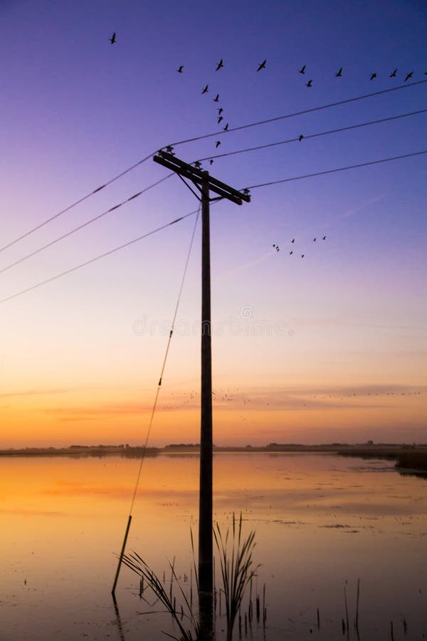 Power Pole in Water stock image. Image of water, power - 29163957
